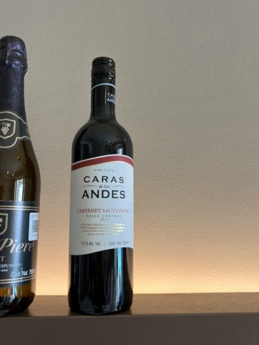2021 Caras de Los Andes Cabernet Sauvignon | Vivino US