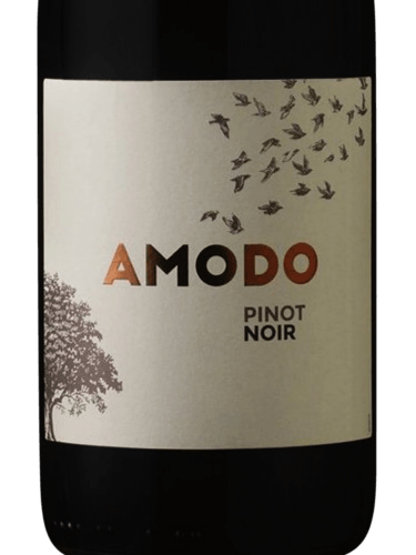 Amodo Pinot Noir | Vivino US