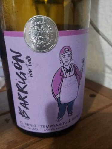 Barrigón El Serio | Vivino US