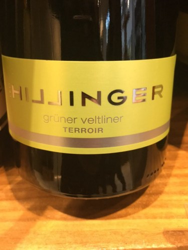 Leo Hillinger Terroir Grüner Veltliner | Vivino US