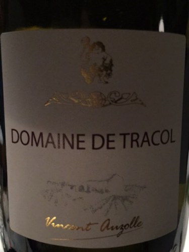 Vincent Auzolle Domaine De Tracol | Vivino US