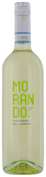 Campagnola Morando Pinot Grigio Organic | Vivino US