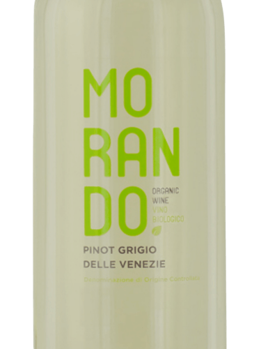 Campagnola Morando Pinot Grigio Organic | Vivino US