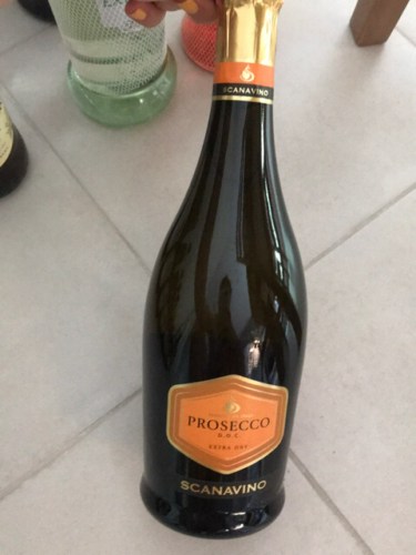Botter Carlo & C. Spa Prosecco Extra Dry | Vivino US