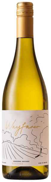 Wayfarer Wines Wandering Wayfarer Bacchus | Vivino US