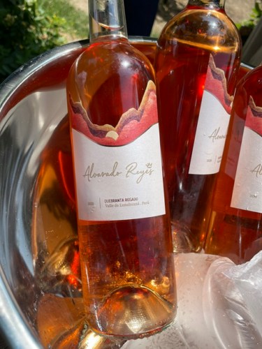 Viña Los Reyes Alvarado Reyes Quebranta Rosado | Vivino US