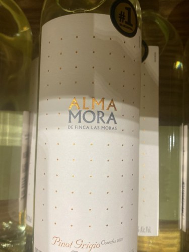 2021 Bodega Finca Las Moras Alma Mora Pinot Grigio | Vivino US