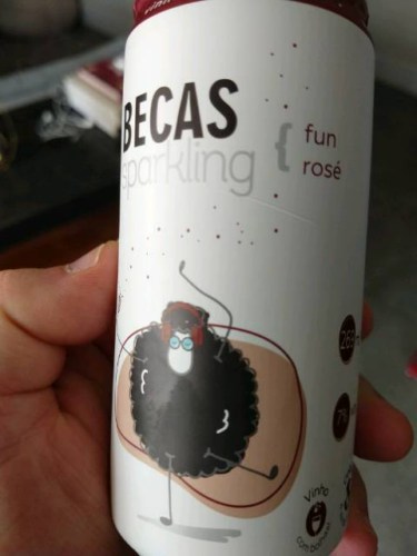 Becas Fun Rosé | Vivino US