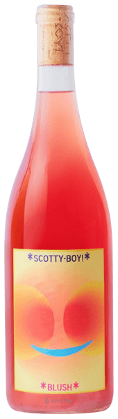 2021 Scotty-Boy! Blush | Vivino US