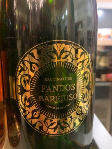 Fandos Y Barriuso Brut Nature | Vivino United Kingdom