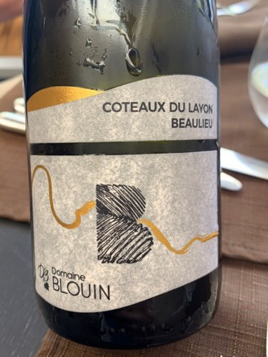 Domaine Blouin Coteaux du Layon 'Beaulieu' | Vivino US