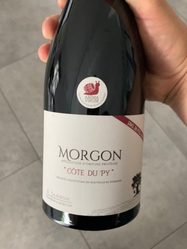 2000 Domaine Guénaël Jambon - Domaine des Roches du Py Morgon 'Côte du ...