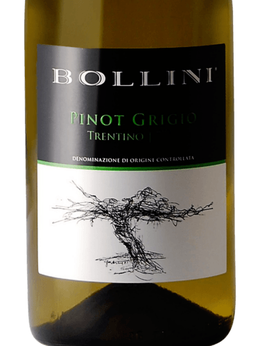 2015 Bollini Pinot Grigio | Vivino