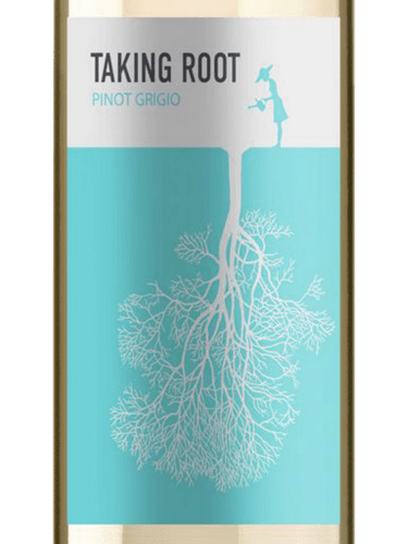 Radacini Taking Root Pinot Grigio | Vivino English