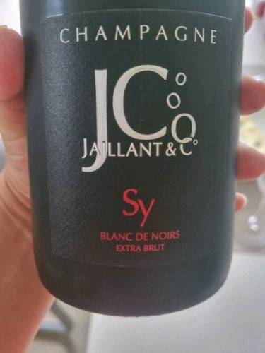 Jaillant & Co SY Blanc de Noirs Extra Brut Champagne | Vivino US