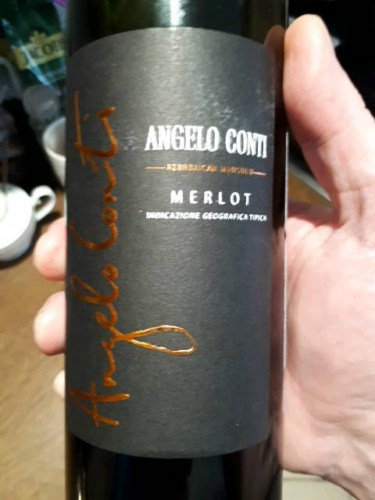 Angelo Conti Merlot | Vivino US