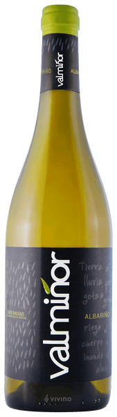 2019 Valmiñor Albariño | Vivino US