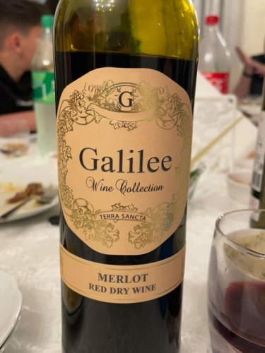 Galilee Wine Collection Merlot Dry | Vivino US