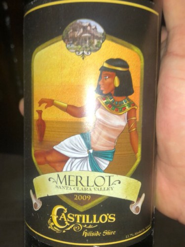 Castillo's Hillside Shire Merlot | Vivino US