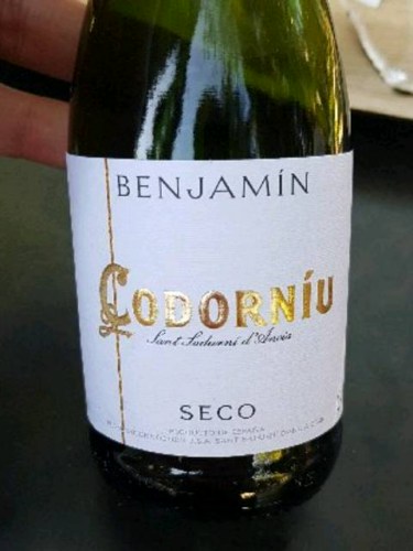 Codorníu Benjamin Cava Sec | Vivino US
