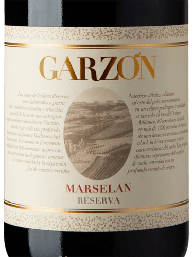 Bodega Garzón Reserva Marselan | Vivino English