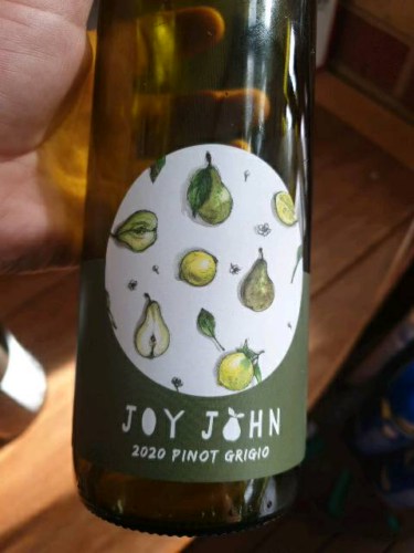 Joy John Pinot Grigio | Vivino US