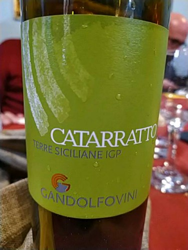 Gandolfo Vini Catarratto | Vivino US