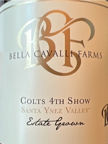 Bella Cavalli Farms Colt's 4th Show | Vivino US