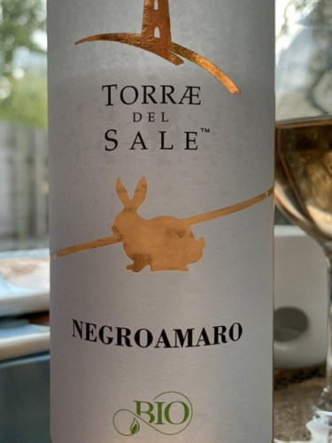 Torræ del Sale Negroamaro Bio Rosé | Vivino US