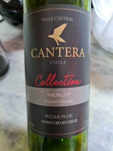 Cantera Collection Selected Vineyards Reserve Merlot | Vivino US