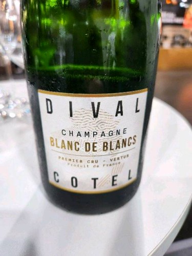 Dival Cotel Champagne Blanc de Blancs Champagne Premier Cru | Vivino US