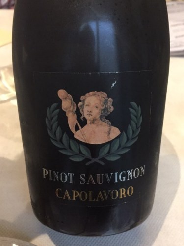 Il Capolavoro Divino Pinot Sauvignon | Vivino US
