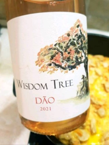 Wisdom Tree Rosé | Vivino US