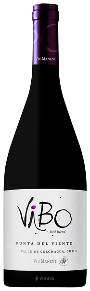 2015 Viu Manent ViBo Punta del Viento | Vivino