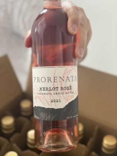 2021 Prorenata Merlot Rosé | Vivino US