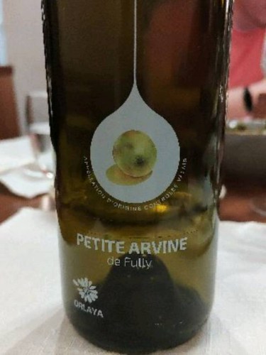 Cave de l'Orlaya Petite Arvine de Fully | Vivino US