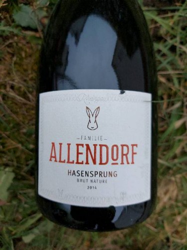 Allendorf Hasensprung Brut Nature | Vivino US