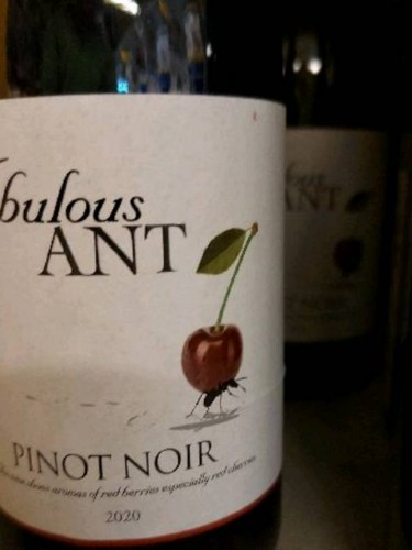 2020 Fabulous Ant Pinot Noir | Vivino United Kingdom