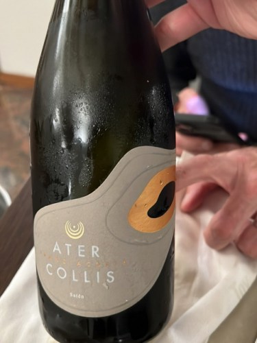 Ater Collis Franciacorta Saten | Vivino US