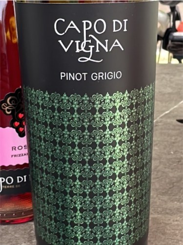 Capo di Vigna Pinot Grigio | Vivino Brasil