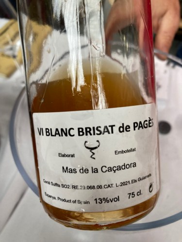 Mas de la Caçadora VI Blanc Brisat de Pagès | Vivino US