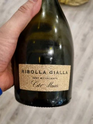 Col Moniér Ribolla Gialla Brut Millesimato | Vivino US