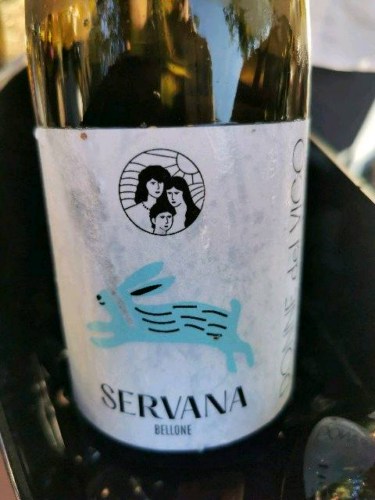 Donne Del Vico Servana Bellone | Vivino US
