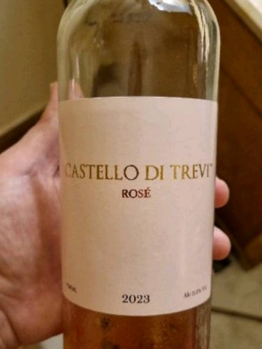 Castello di Trevi Rosé | Vivino English