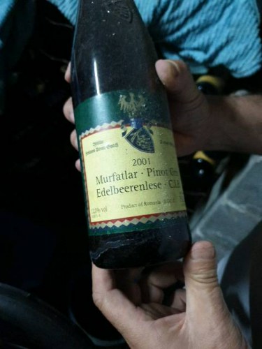 Pieroth Murfatlar Pinot Gris Edelbeerenlese | Vivino US