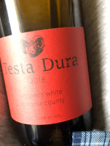 Testa Dura Vintner's White | Vivino US