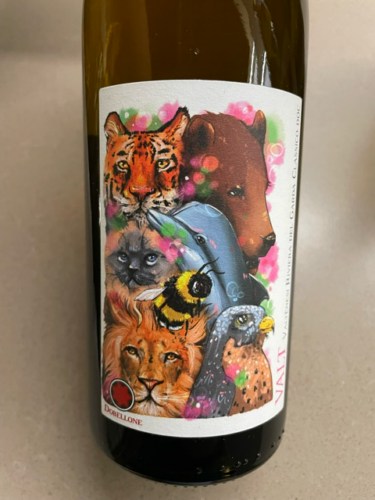 Cantina Dobellone Valt Valtenesi Riviera del Garda Classico | Vivino US