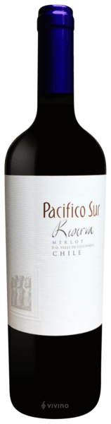 2010 Pacifico Sur Merlot Reserva | Vivino US