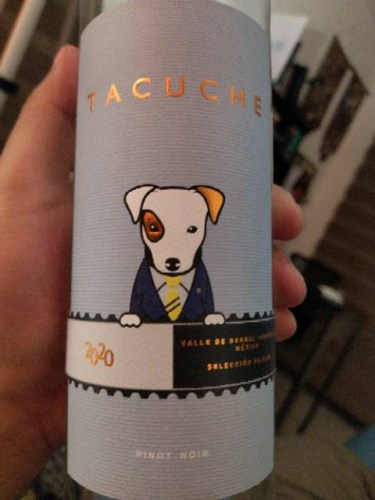 Tacuche Pinot Noir | Vivino Brasil