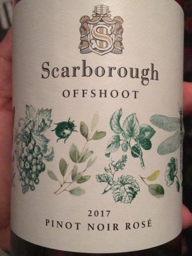 Scarborough Wine Co Offshoot Pinot Noir Rosé | Vivino US